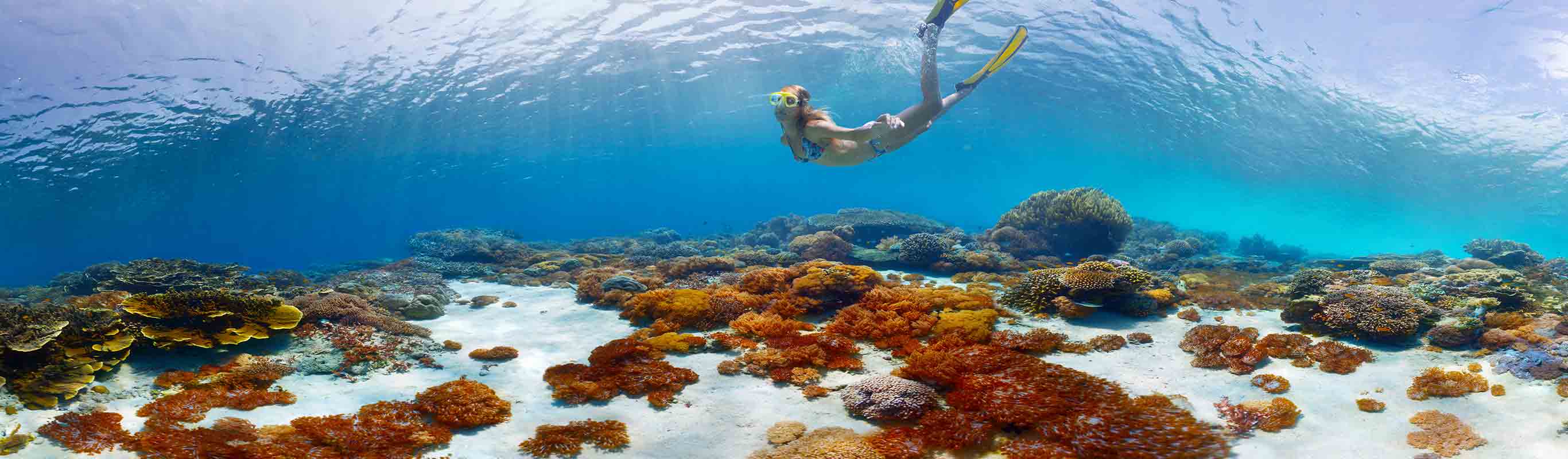 Things to do in Fiji | Activities, Tours and Attractions