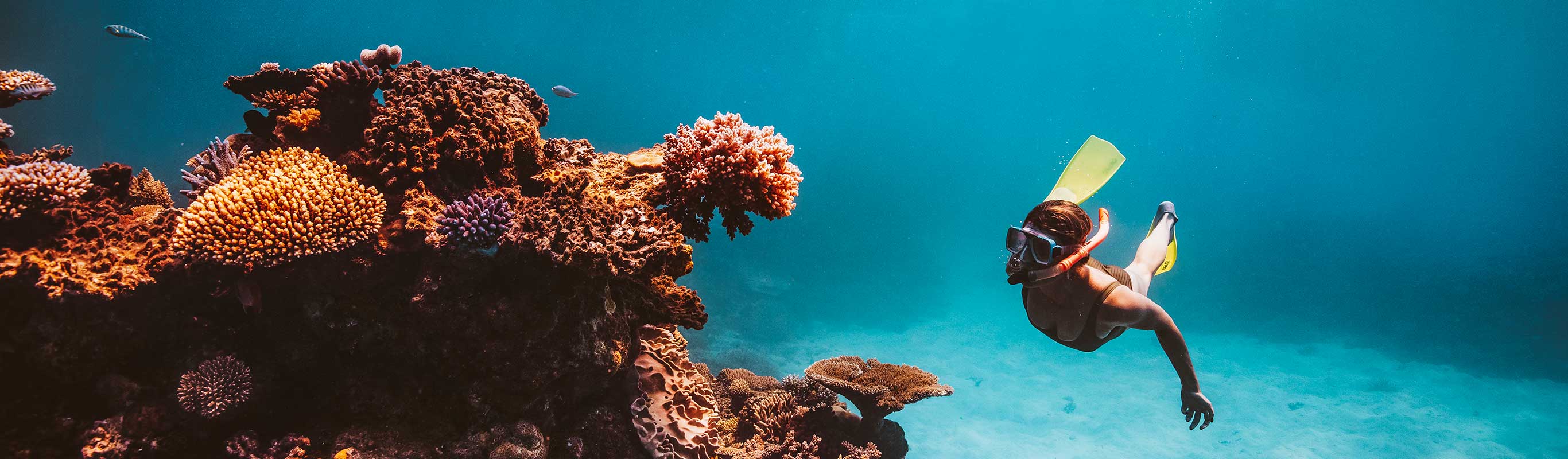 Things to do in Nobby Beach | Activities, Tours, Attractions